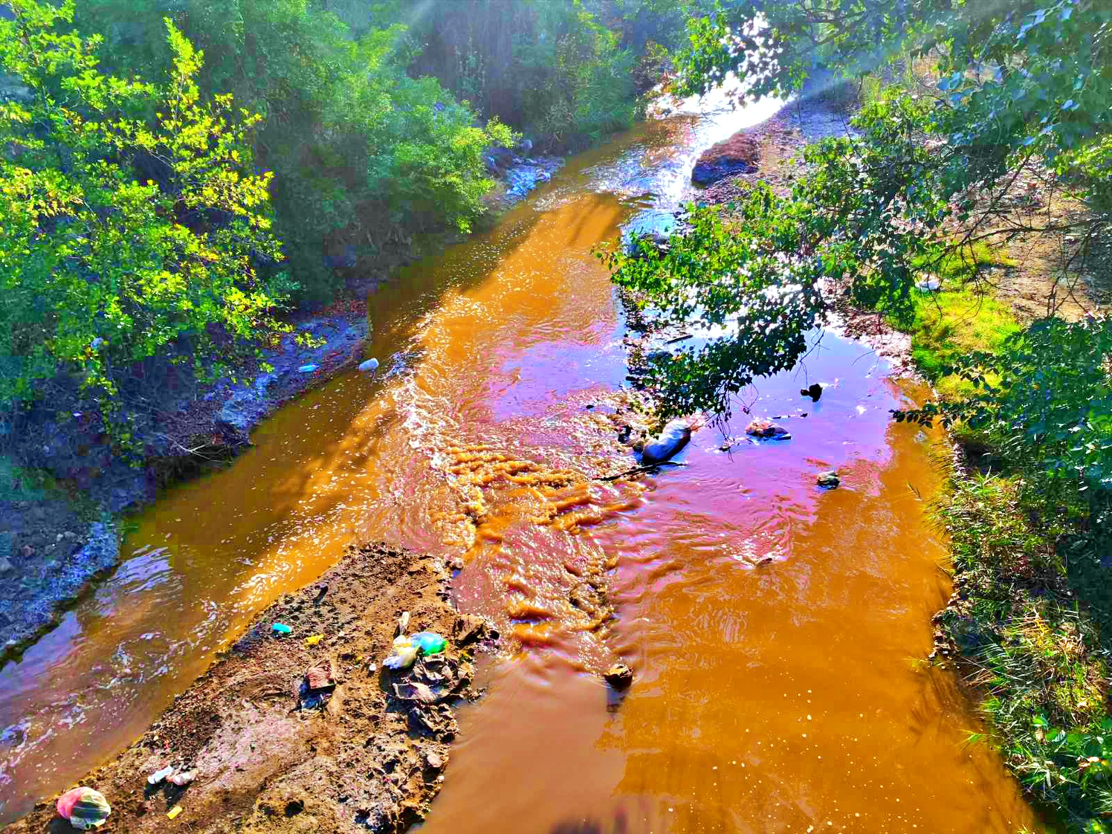 Podsećanja: PRVA VLAŠKA, EKOLOŠKA BUNA U KRVI UGUŠENA - Borske Narodne ...