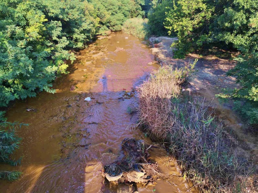 Bor: TRIBINA POVODOM SVETSKOG DANA PLANETE ZEMLJE - Borske Narodne Novine