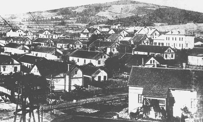 Promocije: SVEDOČANSTVO O STAROM BORU I LJUDIMA KOJI SU ŽIVELI U NJEMU ...