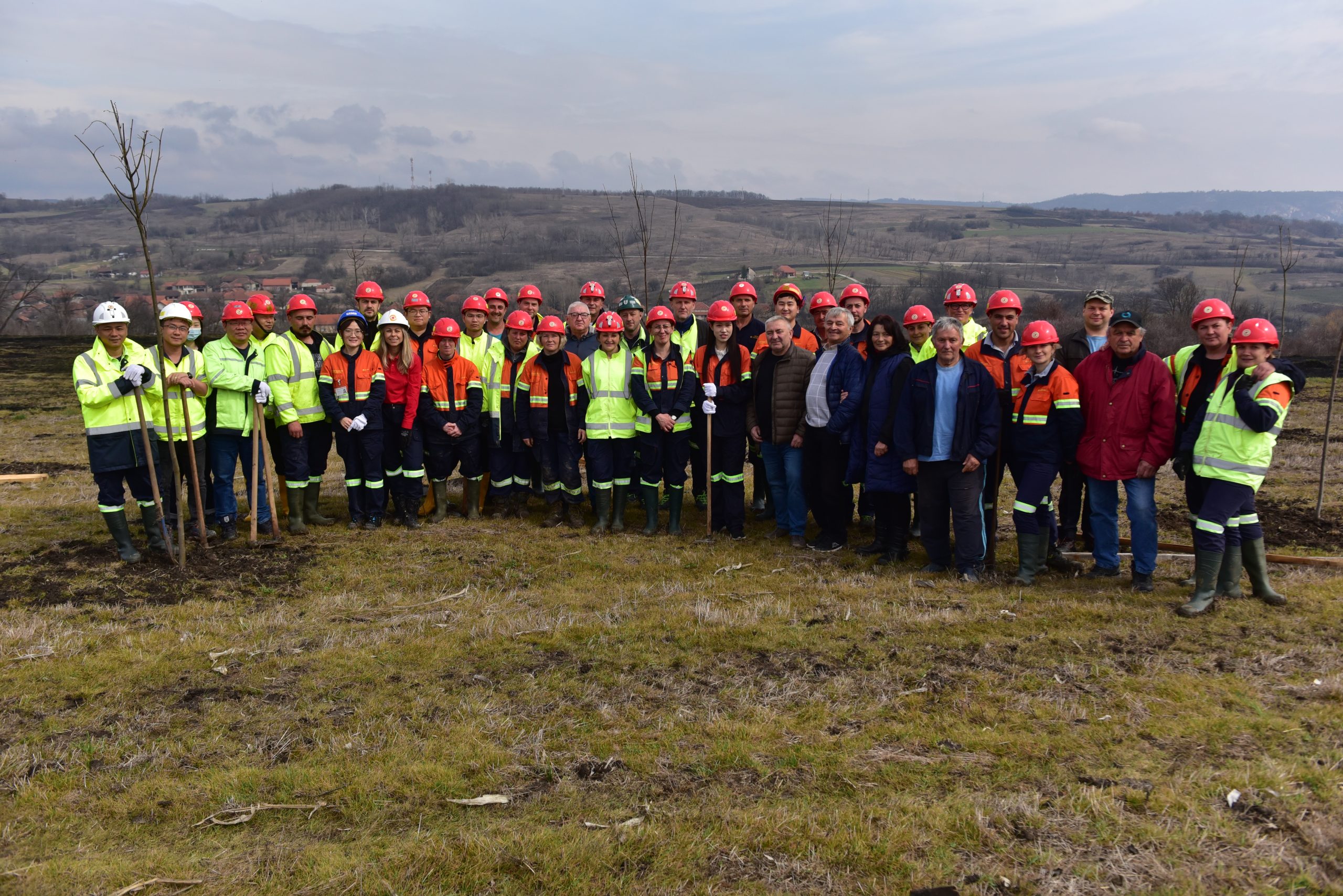 Ziđin Majning: RUDARI I PČELARI ZASADILI MEDONOSNO DRVEĆE - Borske ...